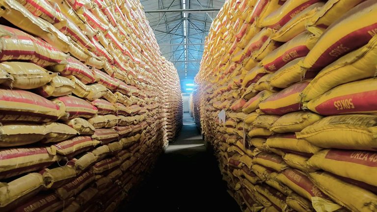 FUM fears low crop yields amid high fertiliser prices - Nation Online