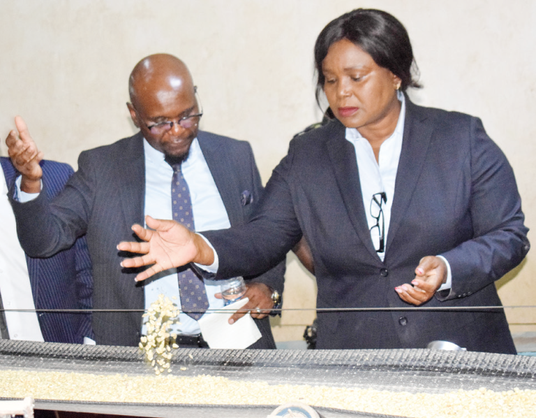Minister upbeat on food security - Nation Online