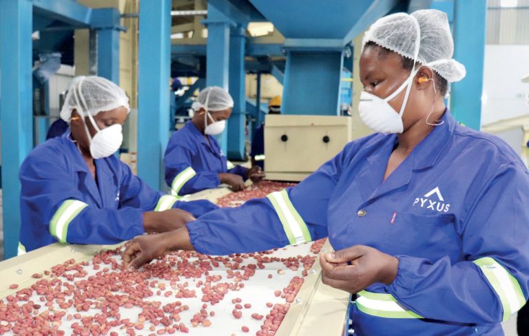 Industry gains fail to deliver jobs—report - Nation Online